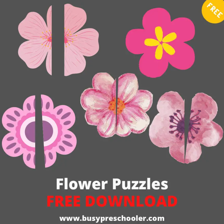FLOWER PUZZLES FOR TODDLERS & PRESCHOOLERS - BusyPreschooler.com