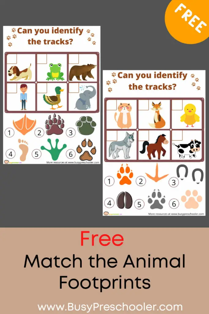 FREE ANIMAL FOOTPRINTS MATCHING WORKSHEET - BusyPreschooler.com