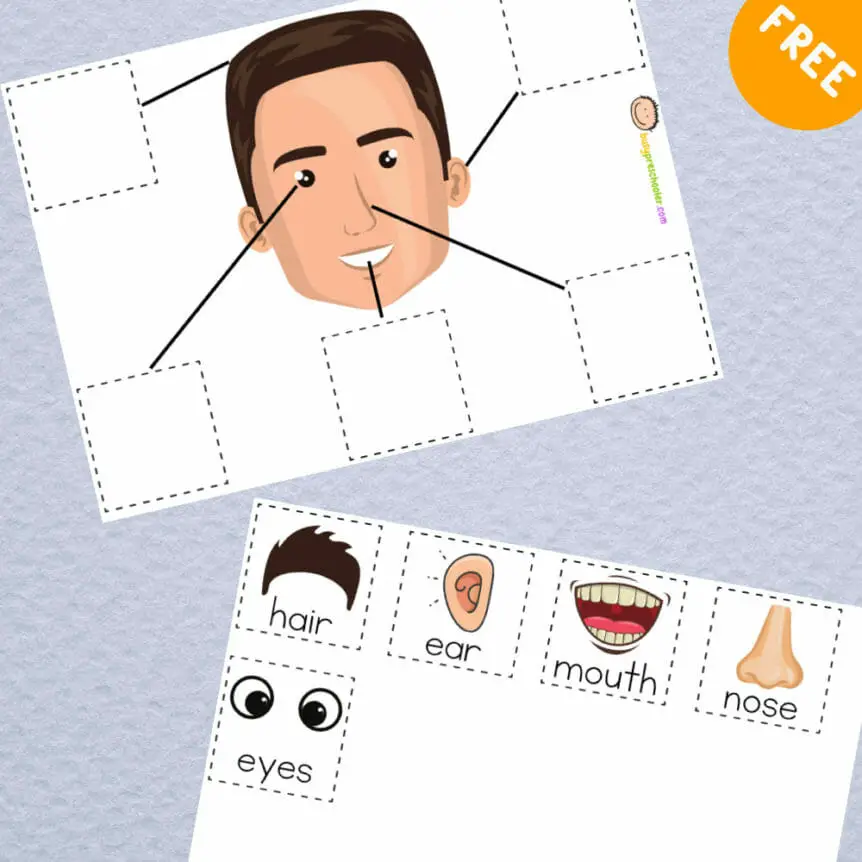 WORKSHEETS - BusyPreschooler.com