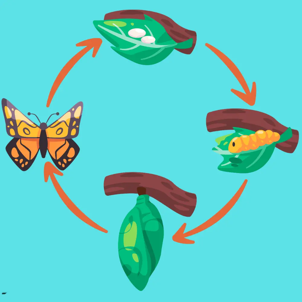 10 Exciting Light and Shadow Activities for Kindergarten