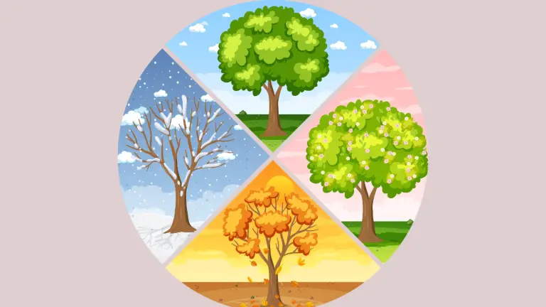 10 Engaging Seasons and Weather Activities for Kindergarten