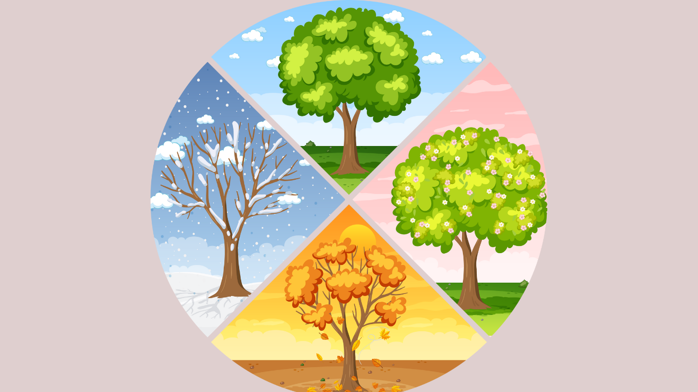 10 Engaging Seasons and Weather Activities for Kindergarten